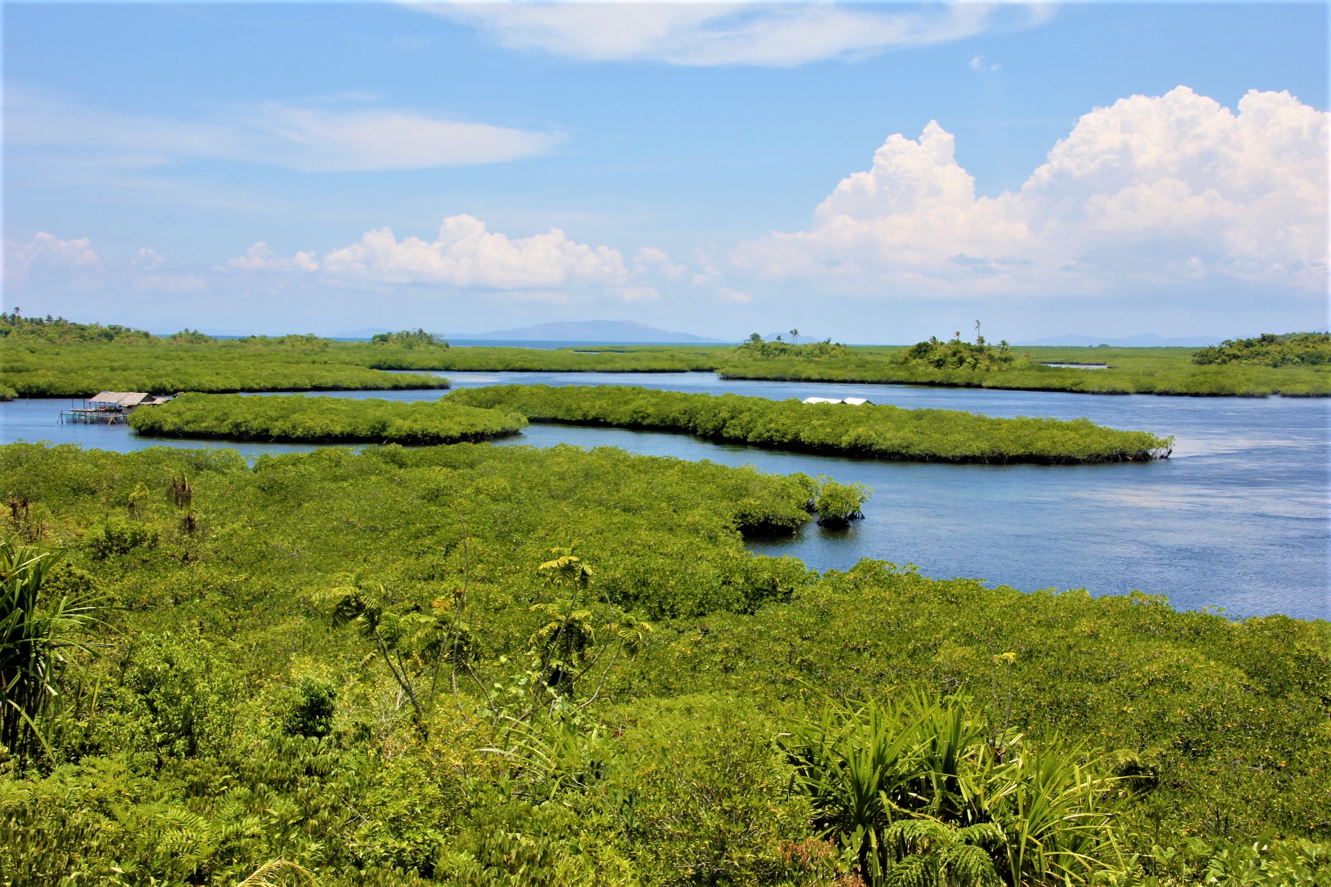 MPIF Enlarges Blue Footprint for PH Biodiversity Protection ...