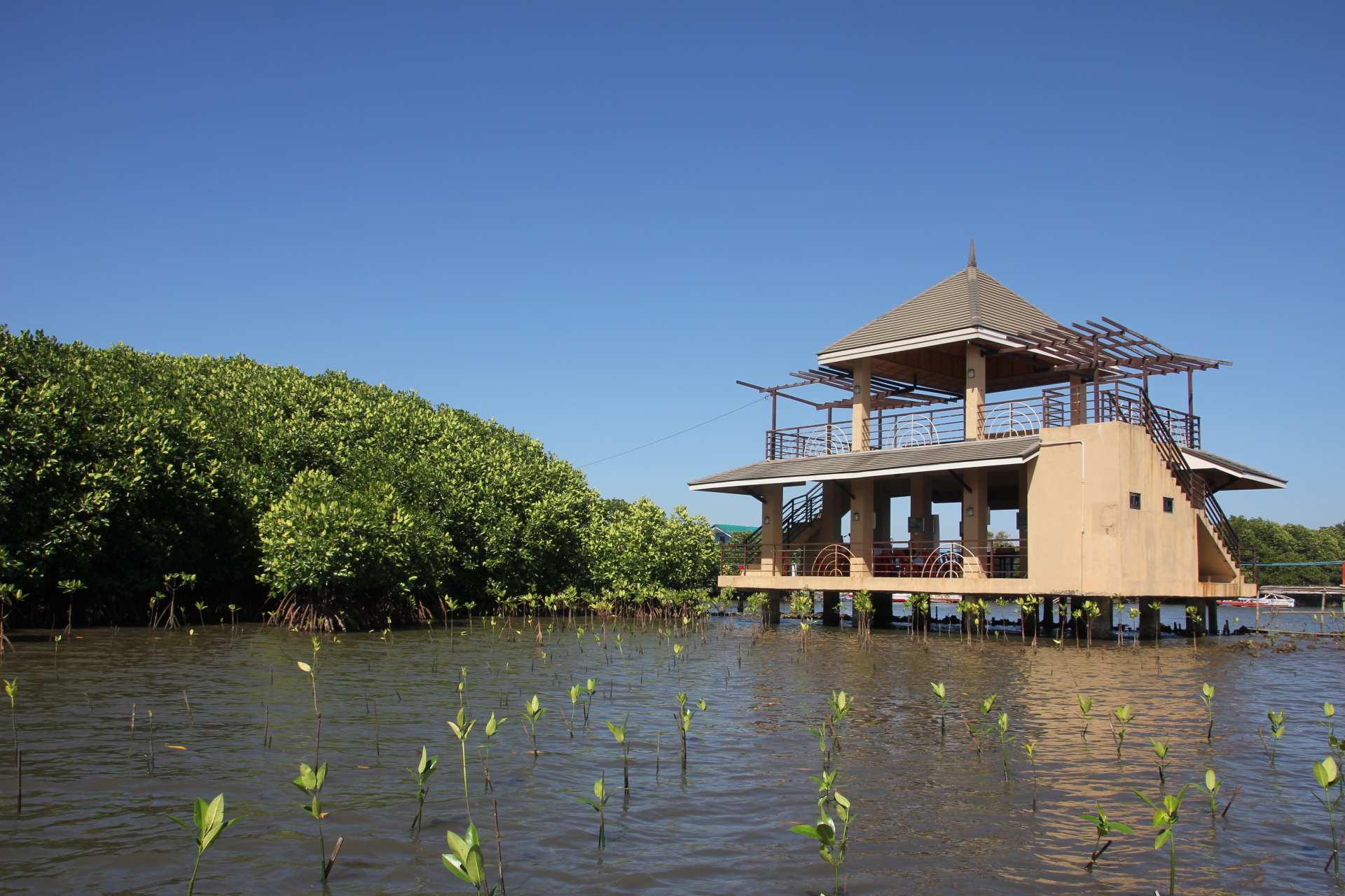 MPIF Enlarges Blue Footprint for PH Biodiversity Protection ...